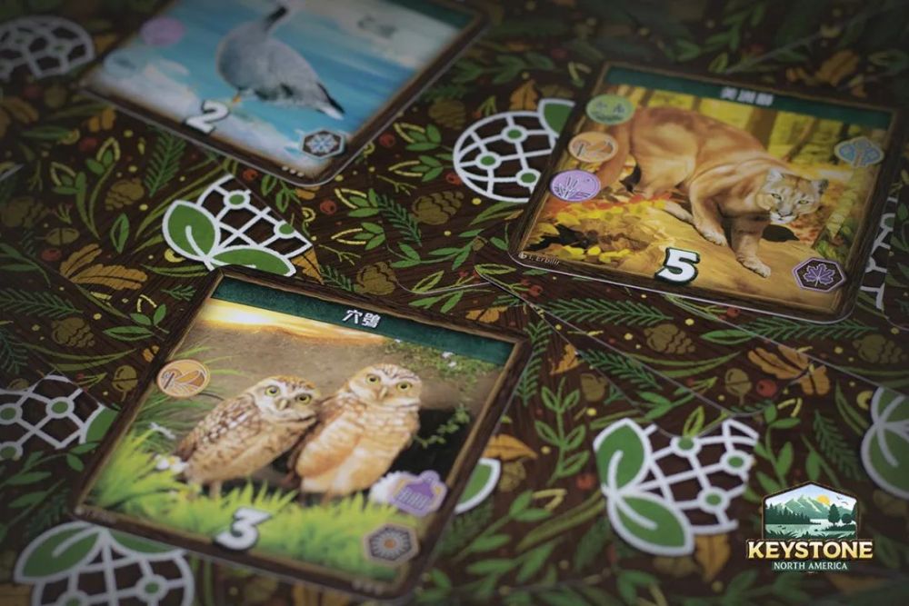 關鍵物種: 北美洲 Keystone: North America – MonsterGeek Board Game Store